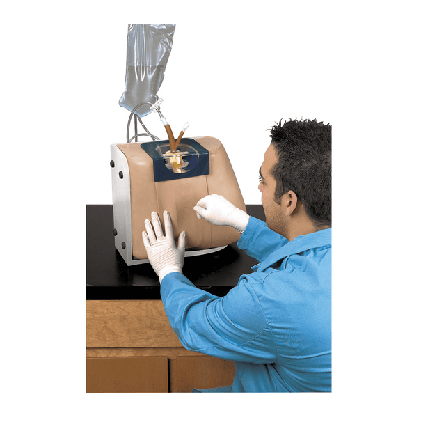 Sakamoto Acupuncture Simulator for Sciatic Nerve - PrimeMed Medical ...